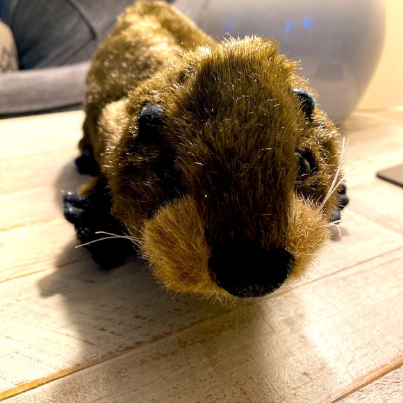 Folkmanis Puppets | Toys | Folkmanis River Otter Hand Puppet | Poshmark